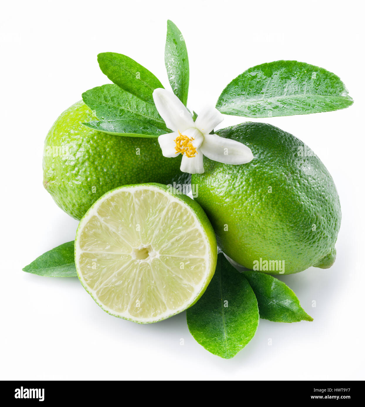 Ripe lime fruits on the white background Stock Photo - Alamy