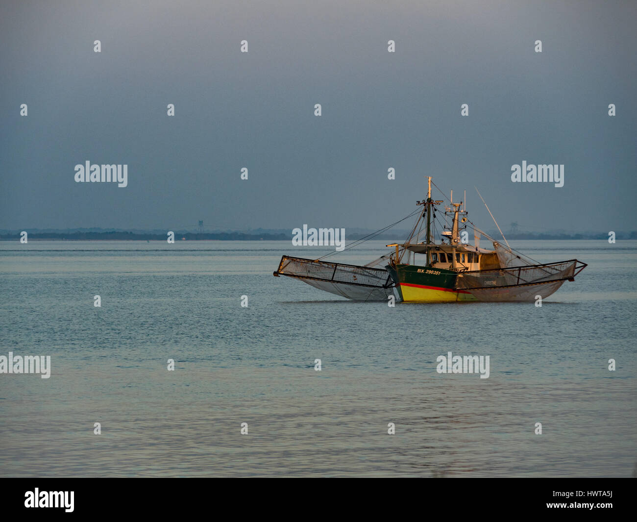 River shrimp estuary hi-res stock photography and images - Alamy