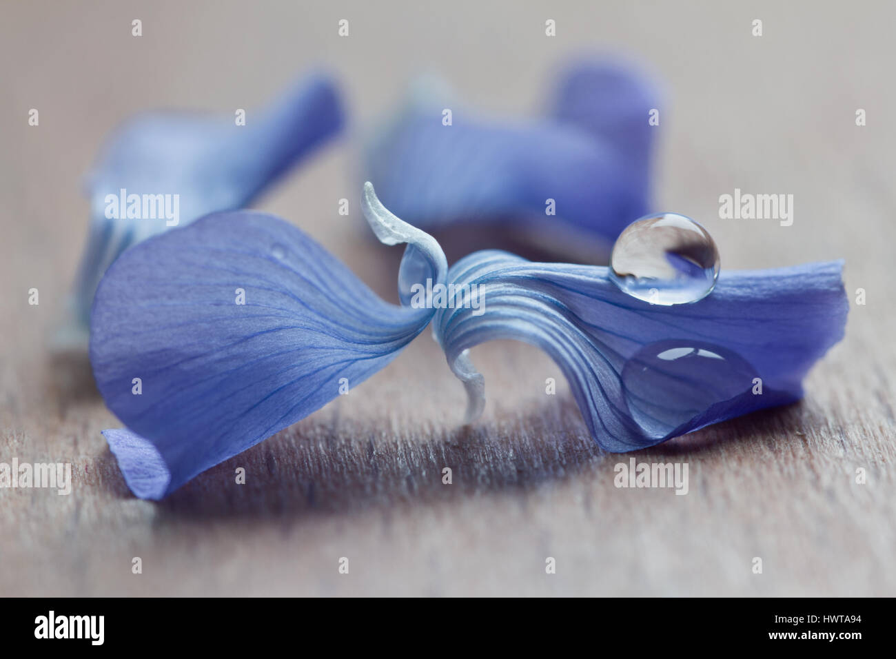 Lein hi-res stock photography and images - Alamy