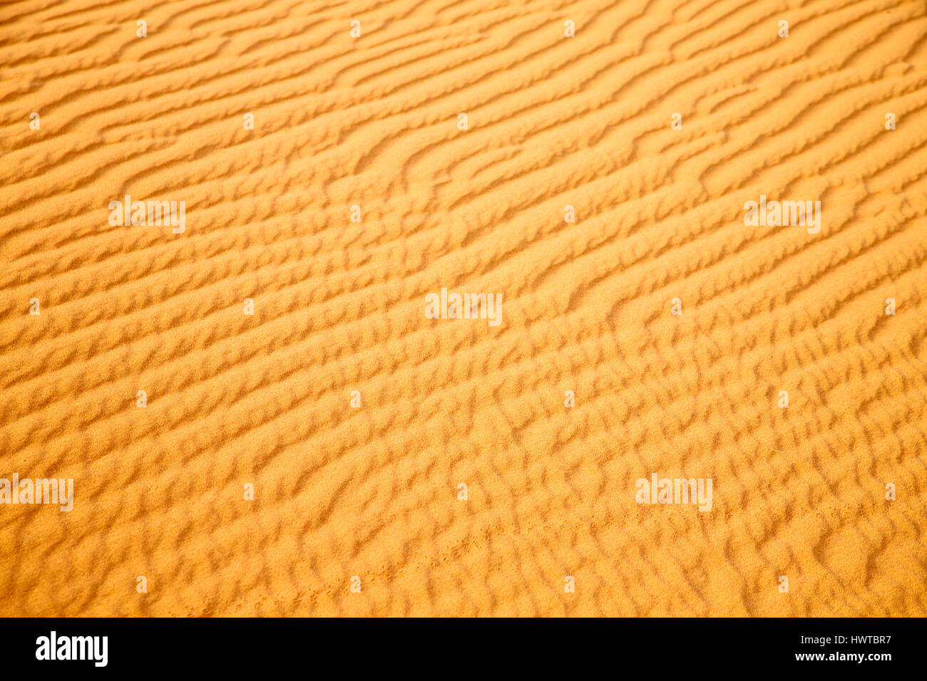 the brown sand dune in the sahara morocco desert Stock Photo - Alamy