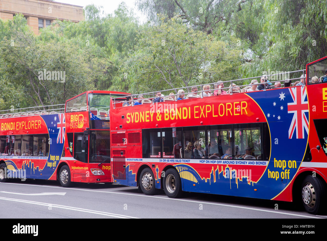 Sydney to Bondi Explorer tourism sightseeing buses in Sydney city ...