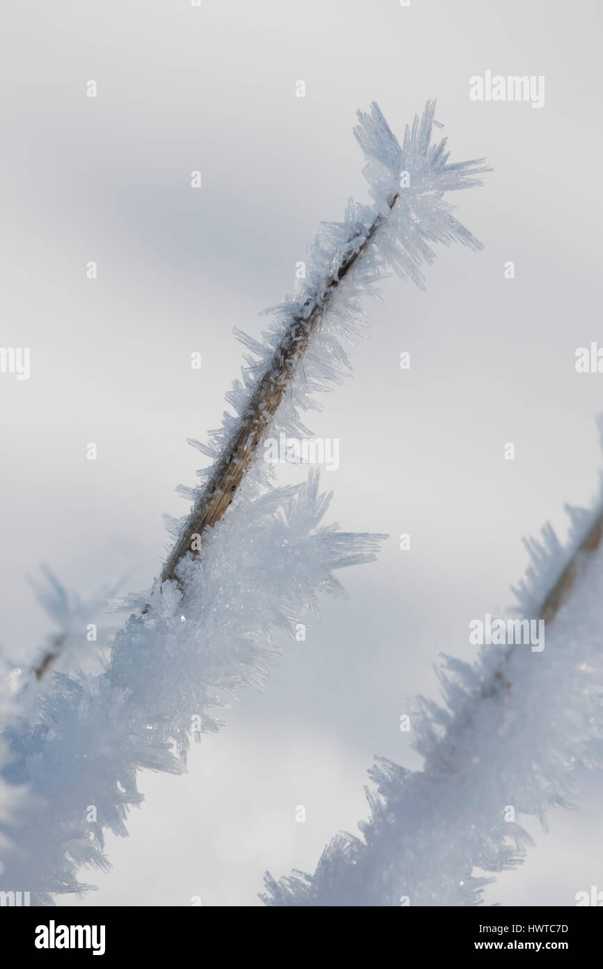 snowdrift in the mountain Stock Photo - Alamy