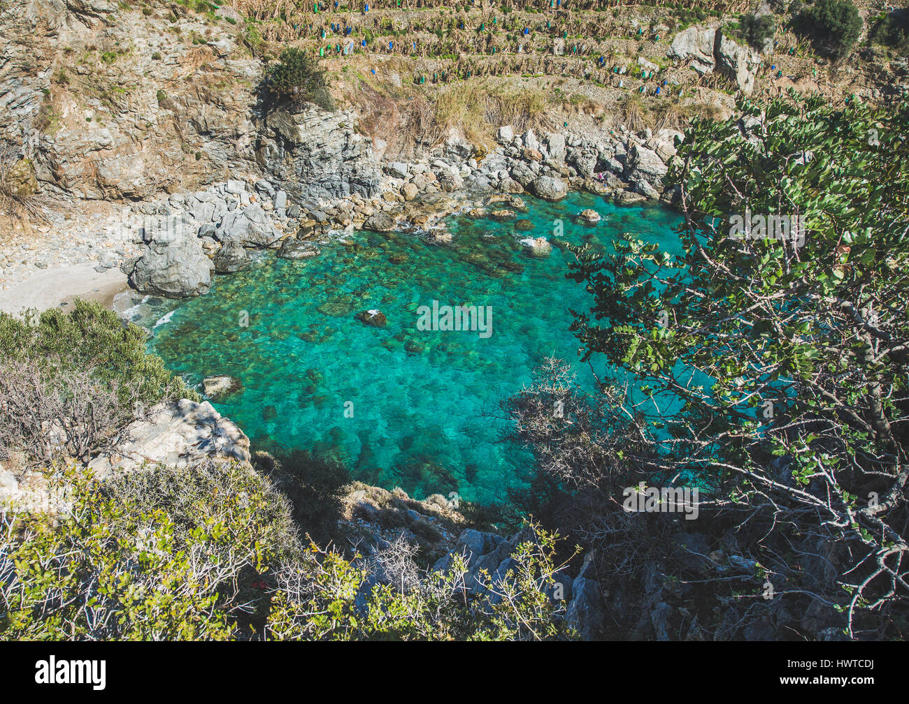 Koru beach hi-res stock photography and images - Alamy