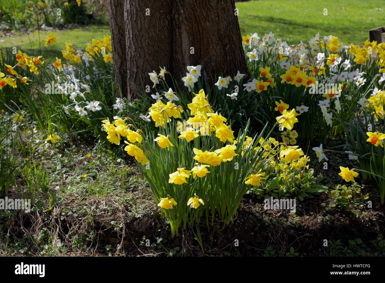 Springtime in english domestic garden hi-res stock photography and ...
