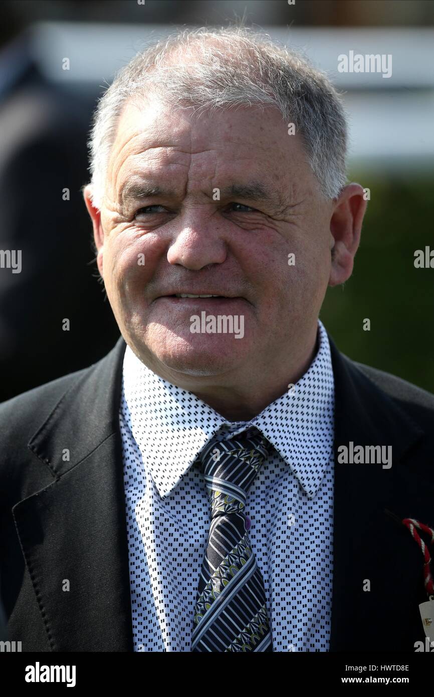 BRIAN ELLISON RACE HORSE TRAINER RACE HORSE TRAINER YORK RACECOURSE ...