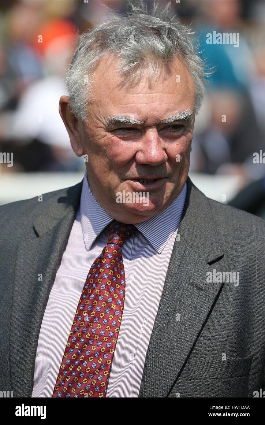 DAVID BARRON RACE HORSE TRAINER RACE HORSE TRAINER YORK RACECOURSE YORK ...