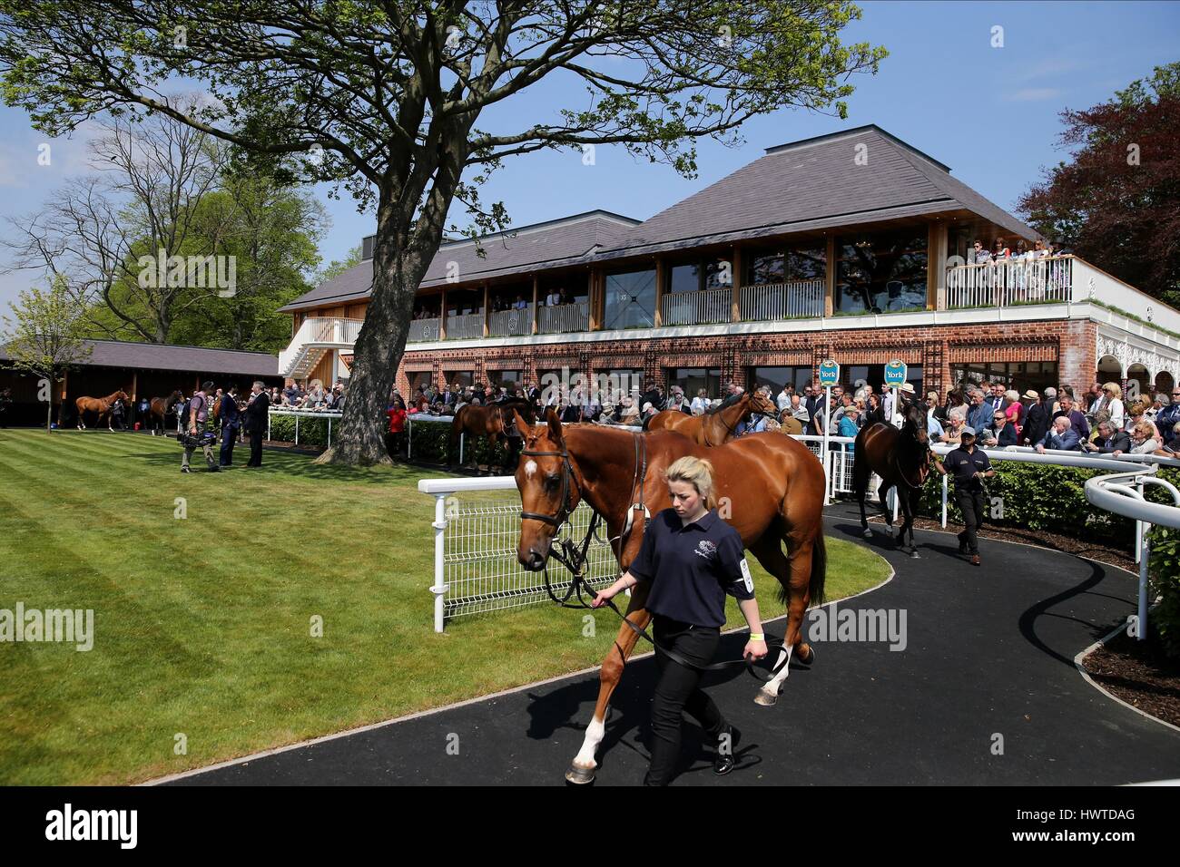 PRE PARADE RING WEIGHING ROOM YORK RACECOURSE YORK RACECOURSE YORK ...
