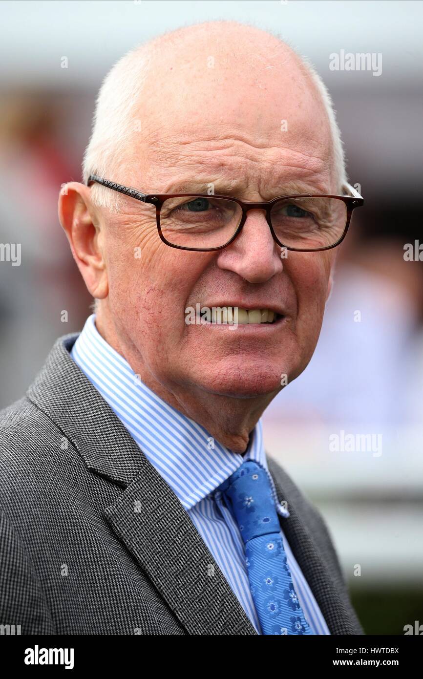 MICHAEL CHANNON RACE HORSE TRAINER RACE HORSE TRAINER YORK RACECOURSE ...