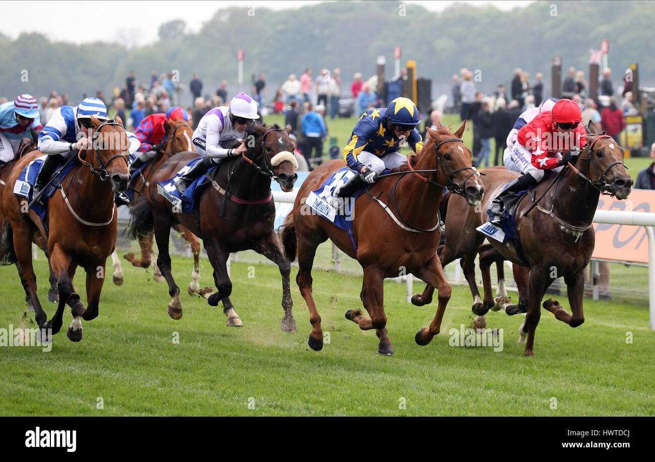 Mythmaker hi-res stock photography and images - Alamy