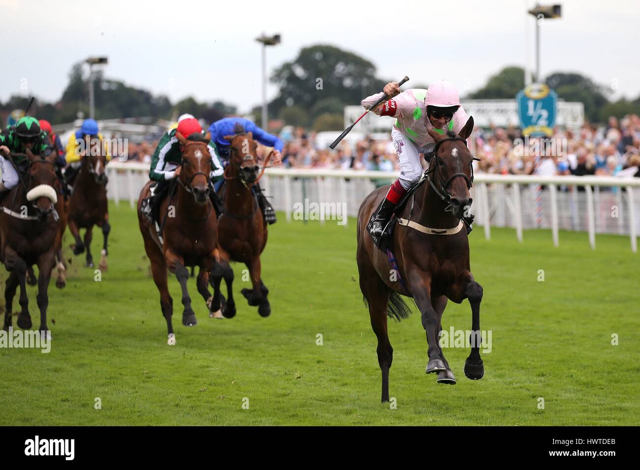 MAX DYNAMITE THE WEATHERBYS HAMILTON LONSDALE CUP THE WEATHERBYS ...