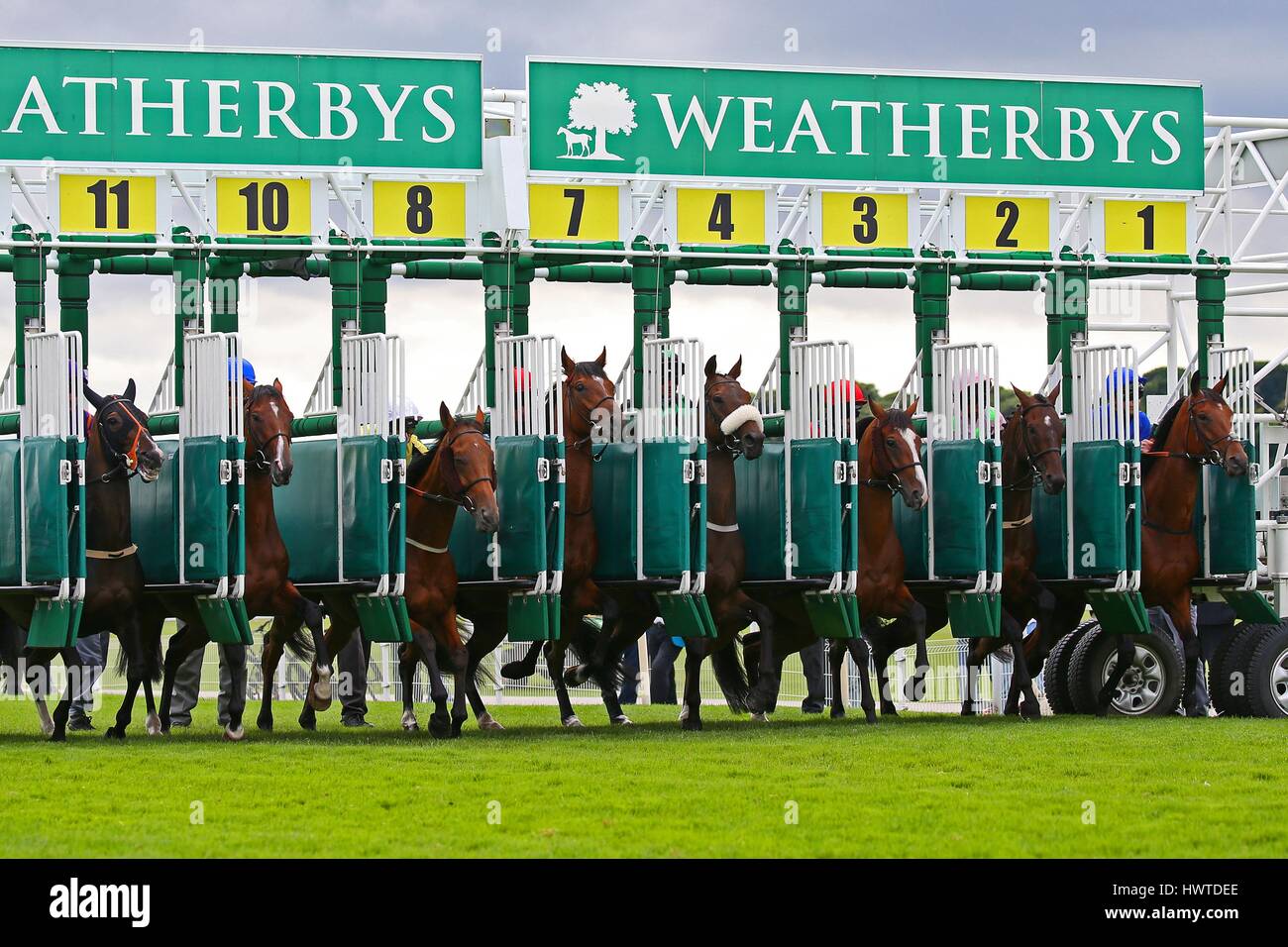 Weatherbys hi-res stock photography and images - Alamy