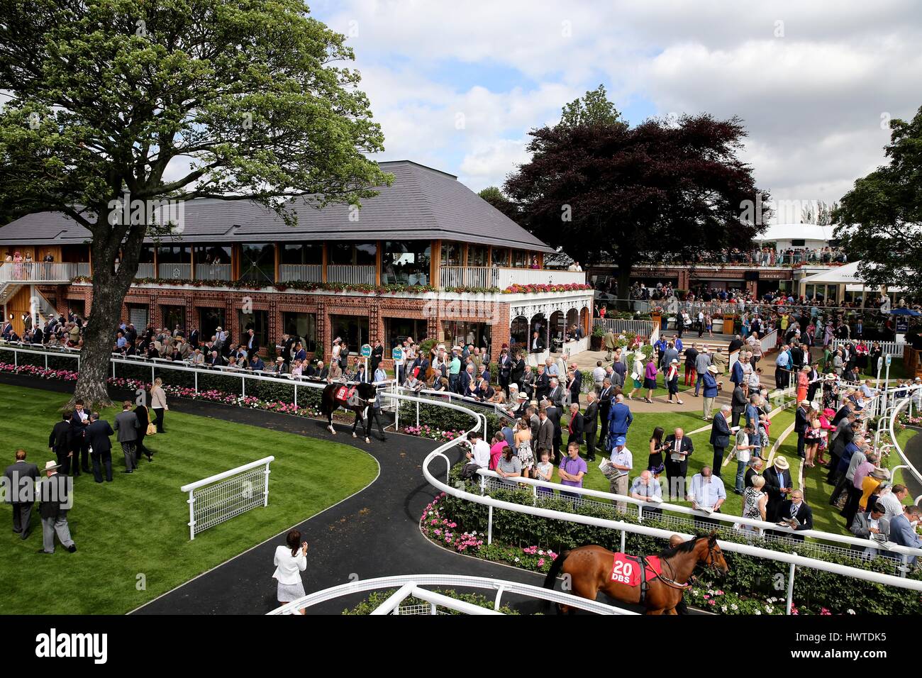 THE WEIGHING ROOM YORK RACECOURSE YORK RACECOURSE YORK RACECOURSE YORK ...