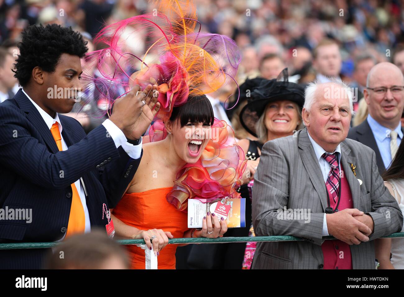 Yorkshire lady horse hi-res stock photography and images - Alamy
