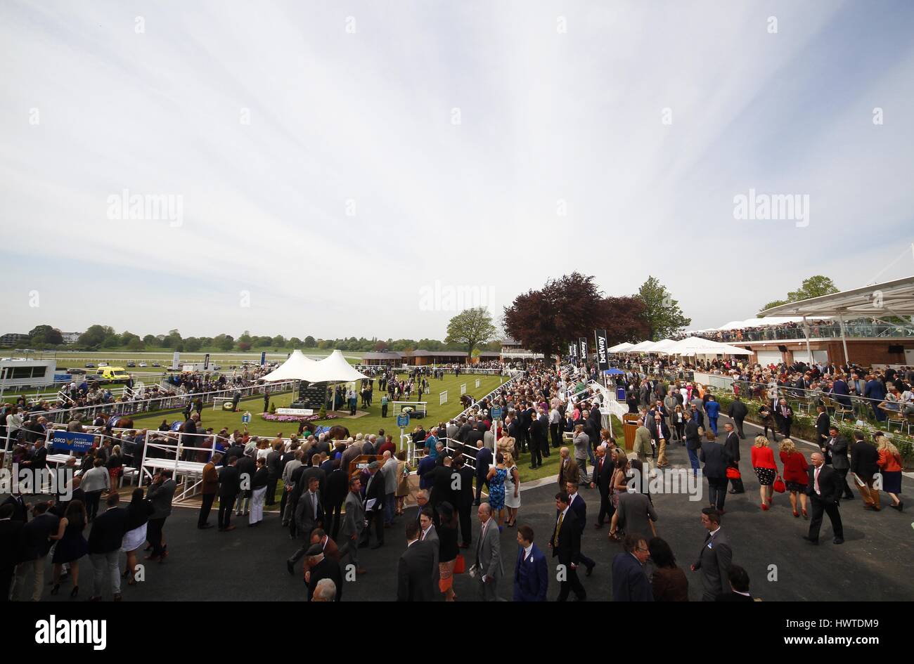 PARADE RING YORK RACECOURSE YORK RACECOURSE YORK RACECOURSE YORK ...