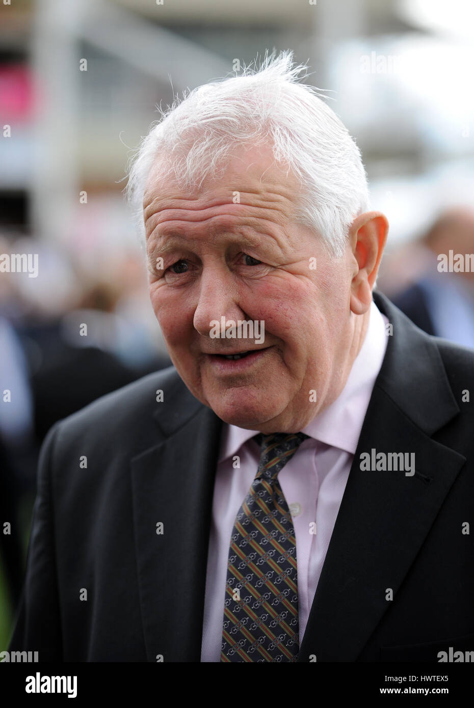 DAVID ELSWORTH RACE HORSE TRAINER RACE HORSE TRAINER YORK RACECOURSE ...