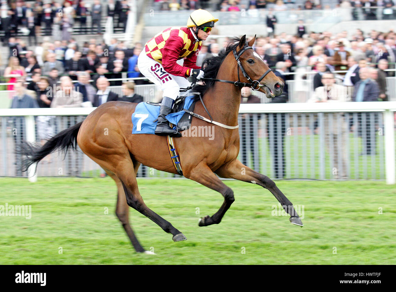 The knavesmire hi-res stock photography and images - Alamy
