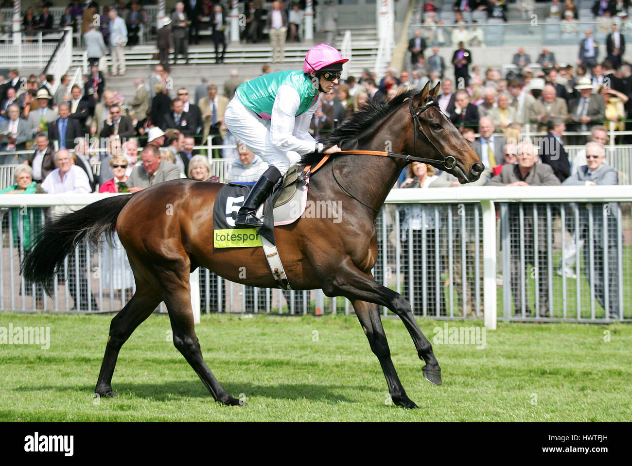 TWICE OVER RIDDEN BY TED DURCAN YORK RACECORSE YORK ENGLAND 15 May 2008 ...