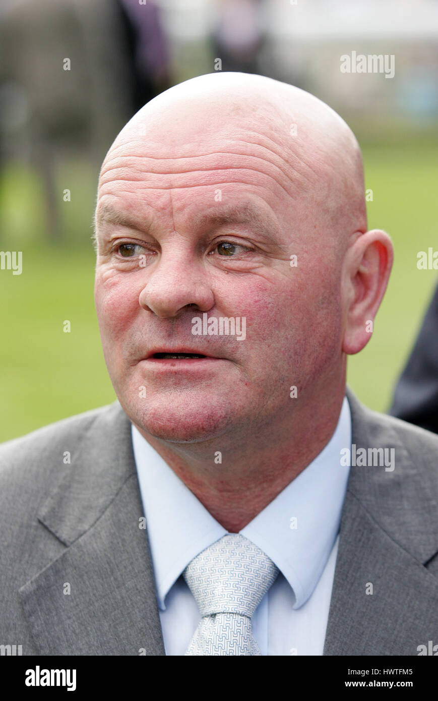David nicholls horse hi-res stock photography and images - Alamy