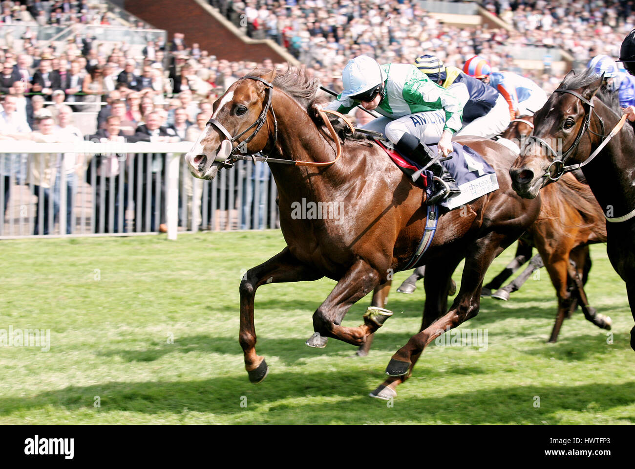 ASSERTIVE AHEAD OF WAR ARTIST THE DUKE OF YORK HEARTHSTEAD YORK ...