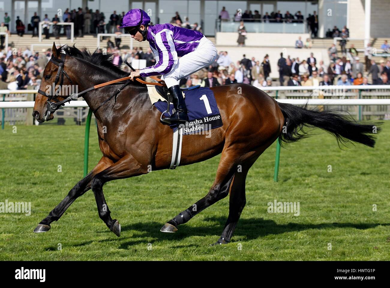 Adagio horse hi-res stock photography and images - Alamy