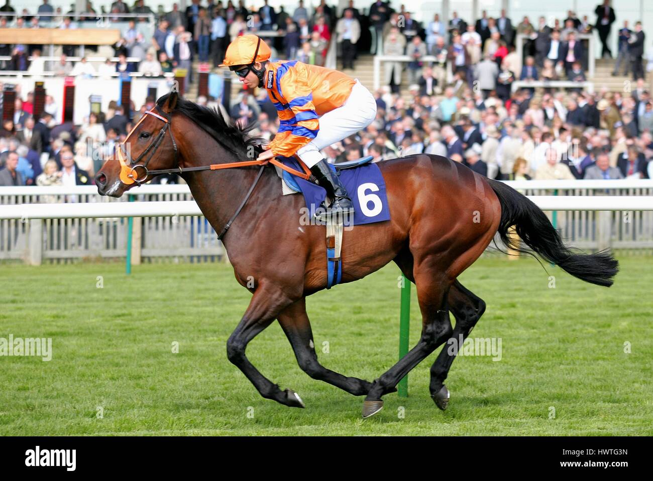 Tobosa hi-res stock photography and images - Alamy