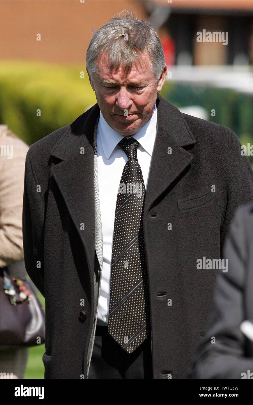 Sir alex ferguson horse racing hi-res stock photography and images - Alamy