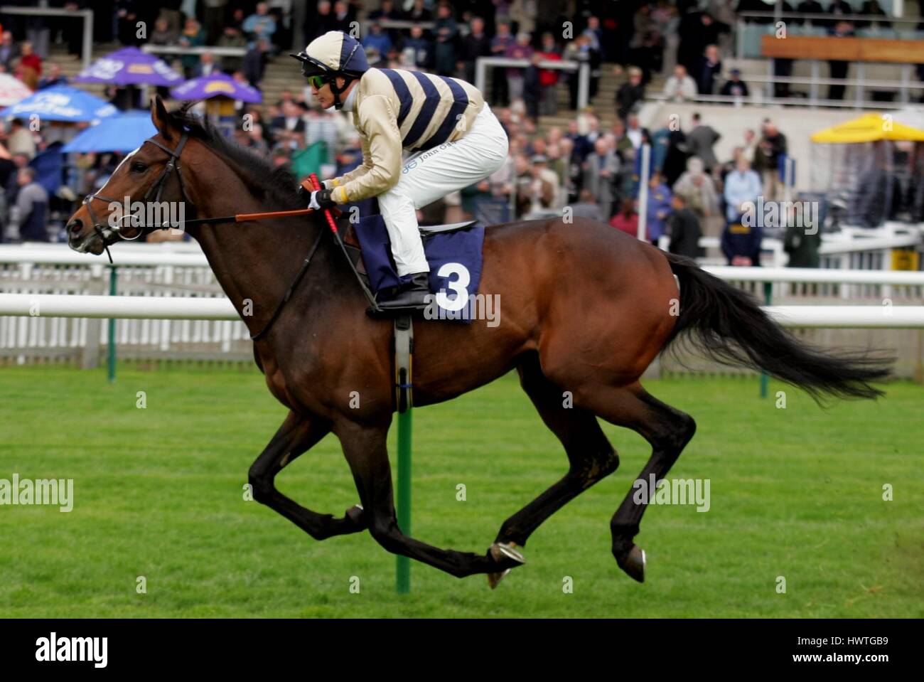 Newmarket rowley mile course hi-res stock photography and images - Alamy