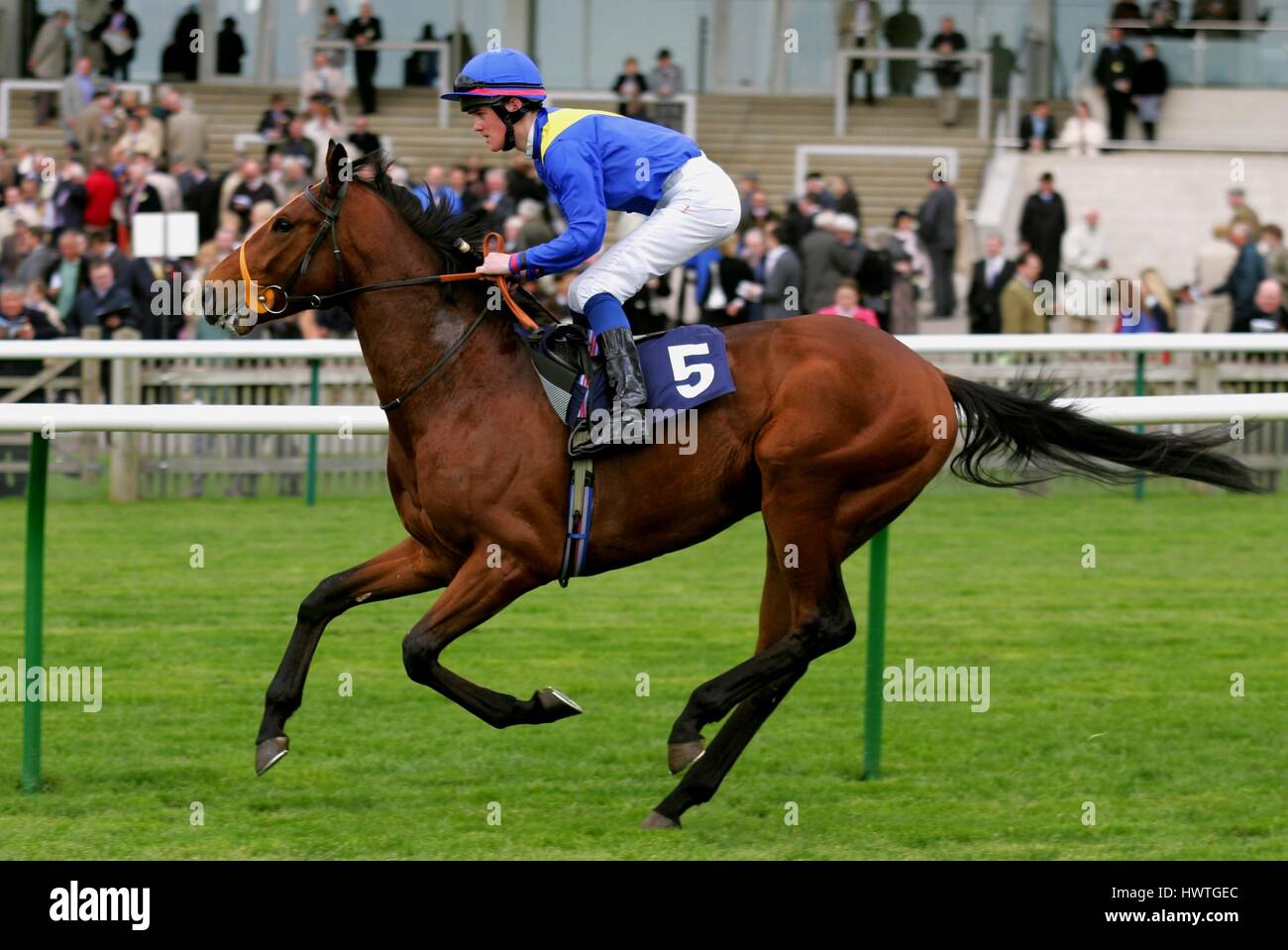 Chief editor hi-res stock photography and images - Alamy