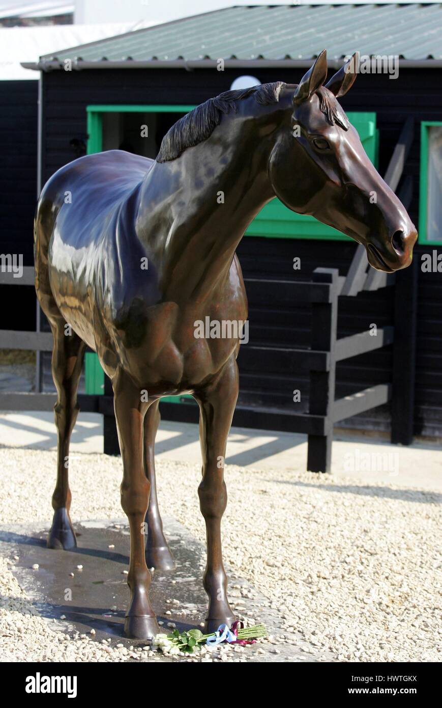 Best mate horse hi-res stock photography and images - Alamy