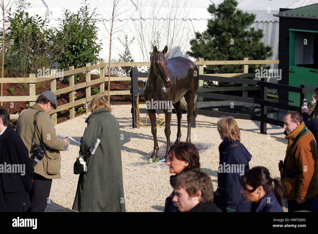 Best mate horse hi-res stock photography and images - Alamy