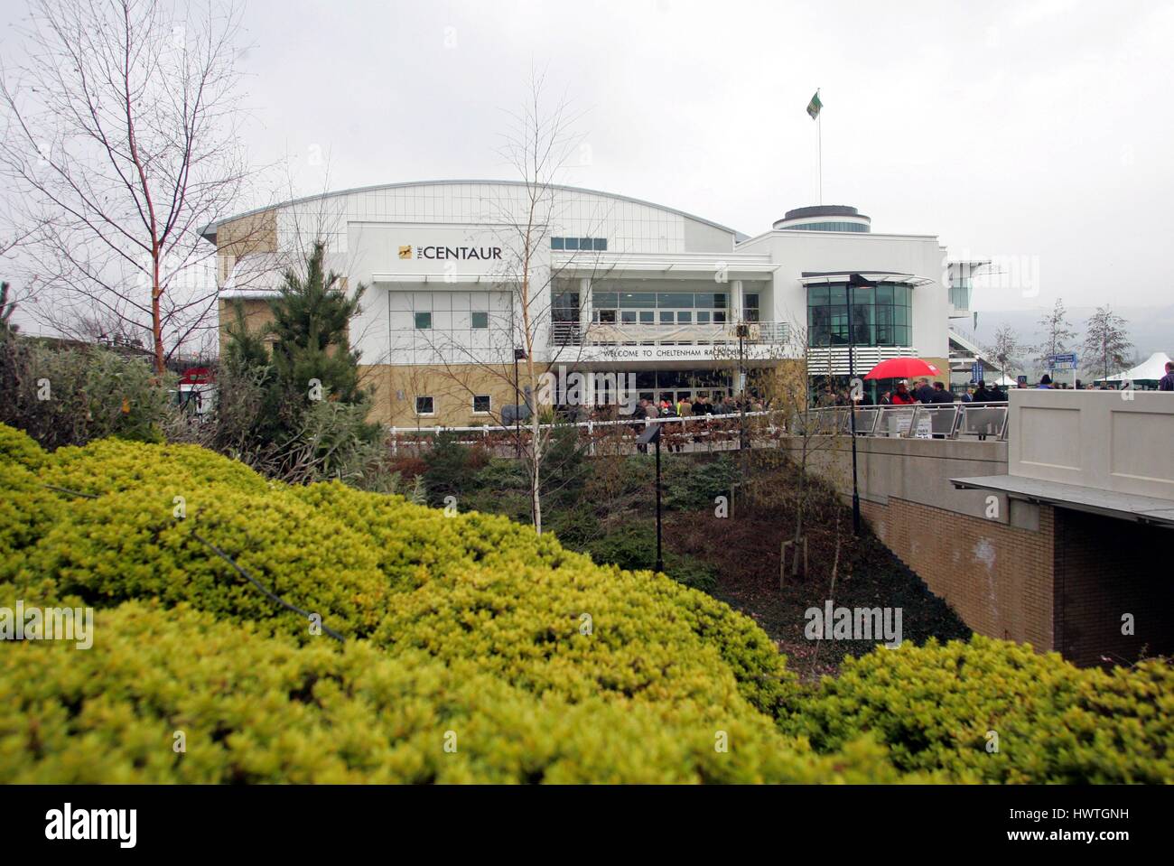 THE CENTAUR CHELTENHAM RACECOURSE CHELTENHAM RACECOURSE CHELTENHAM ...