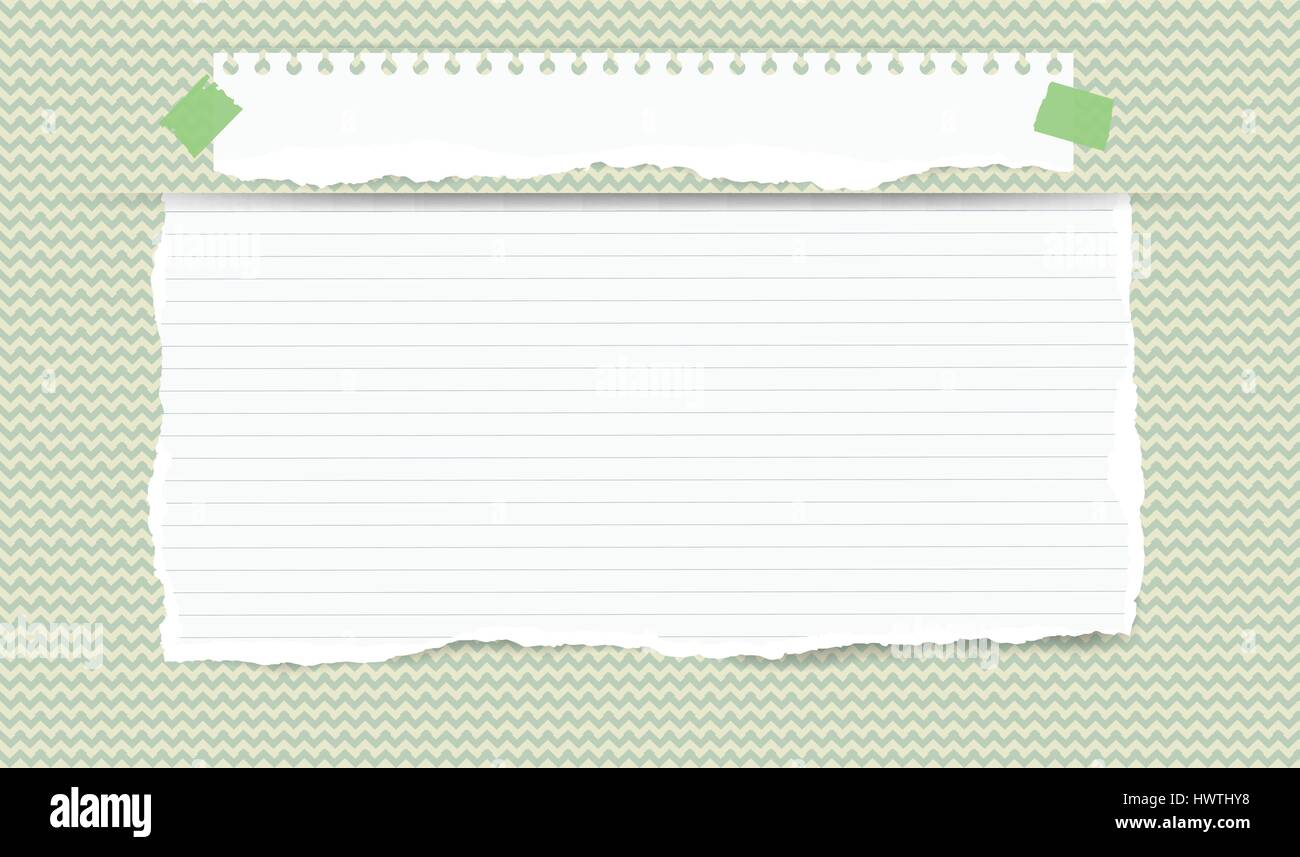 Pieces of torn white blank and ruled note, copybook, notebook strip ...