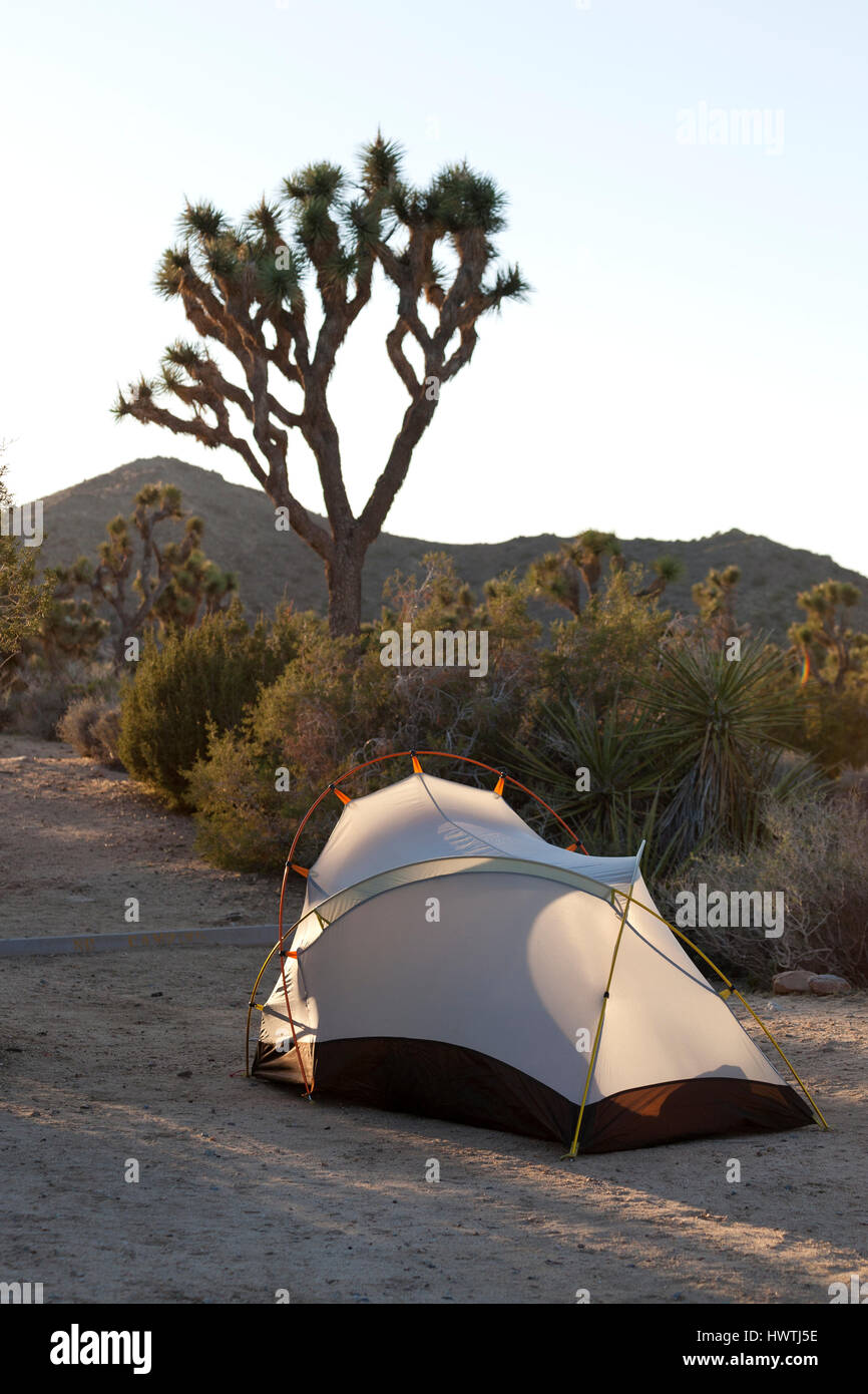 Camping at Joshua Tree Stock Photo - Alamy