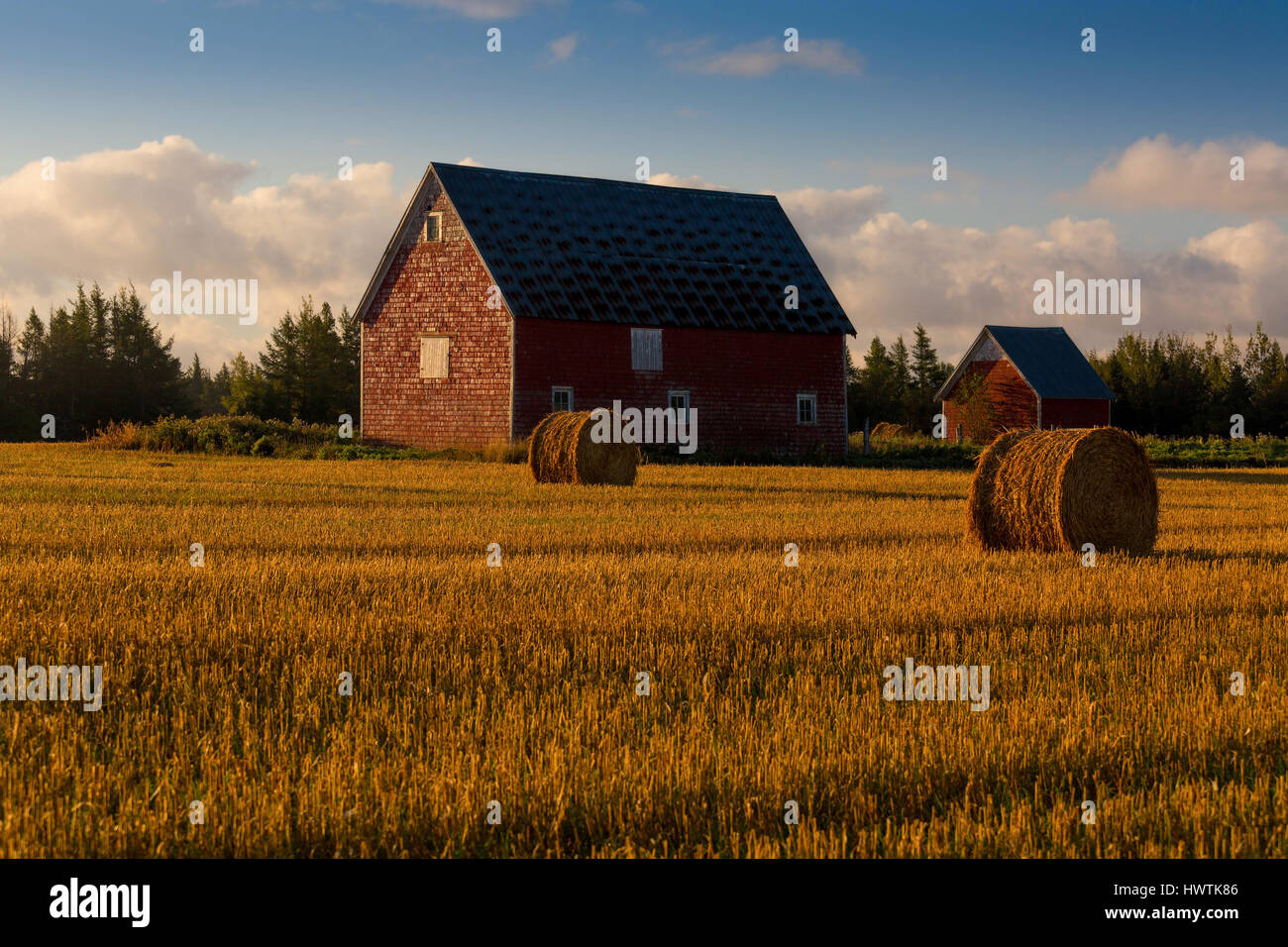 Red barn at dawn in rural Prince Edward Island, Canada Stock Photo - Alamy