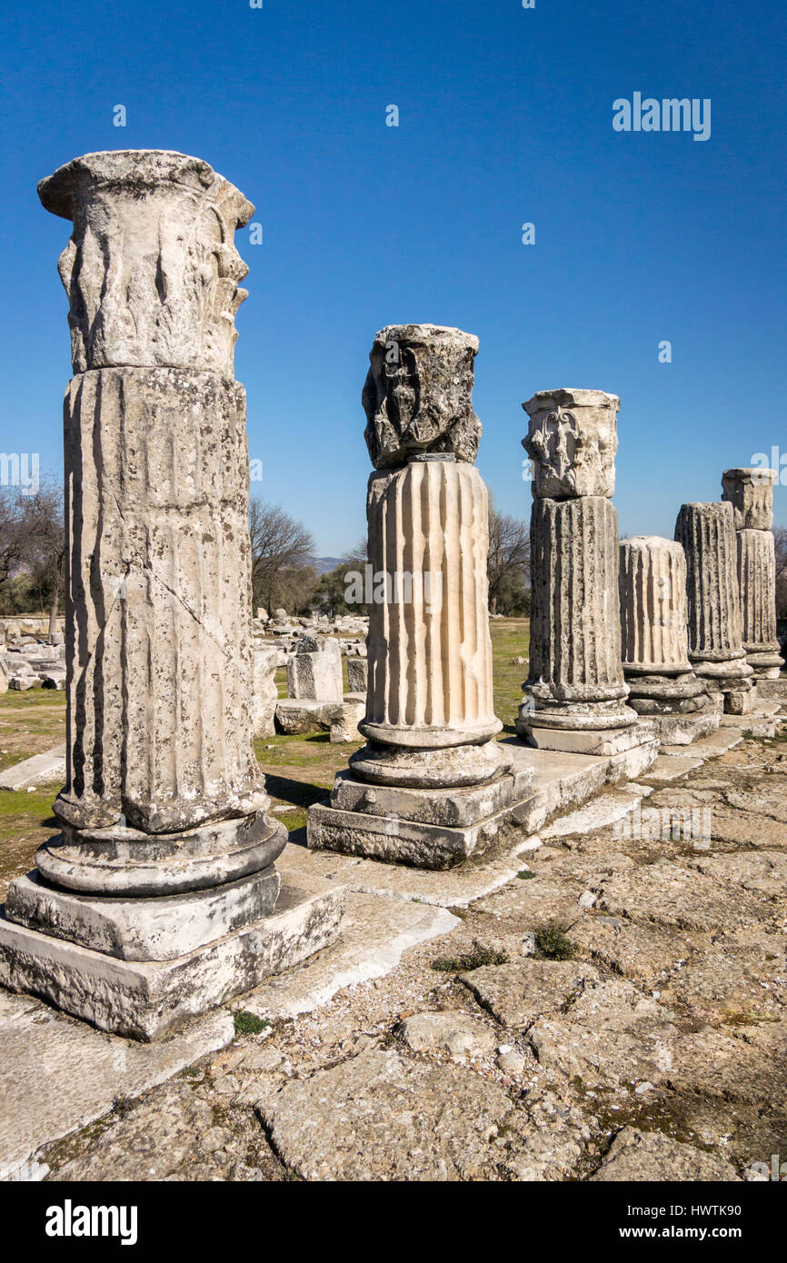 Excavations of the Temple of Hekate in Lagina Ancient City, Yatagan ...