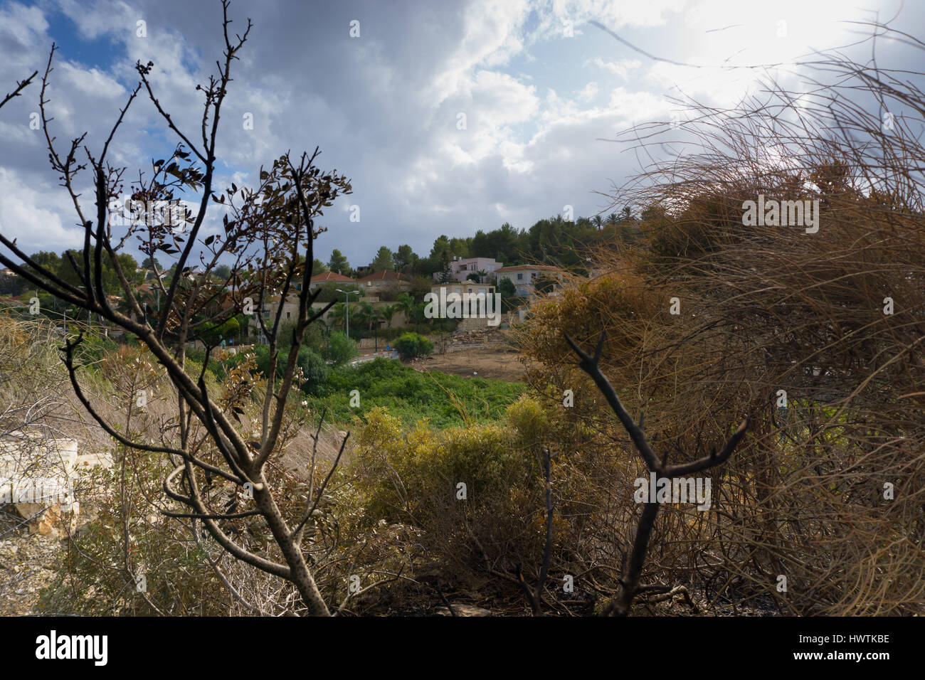 Beautiful view of modern houses built on a mountain Stock Photo - Alamy