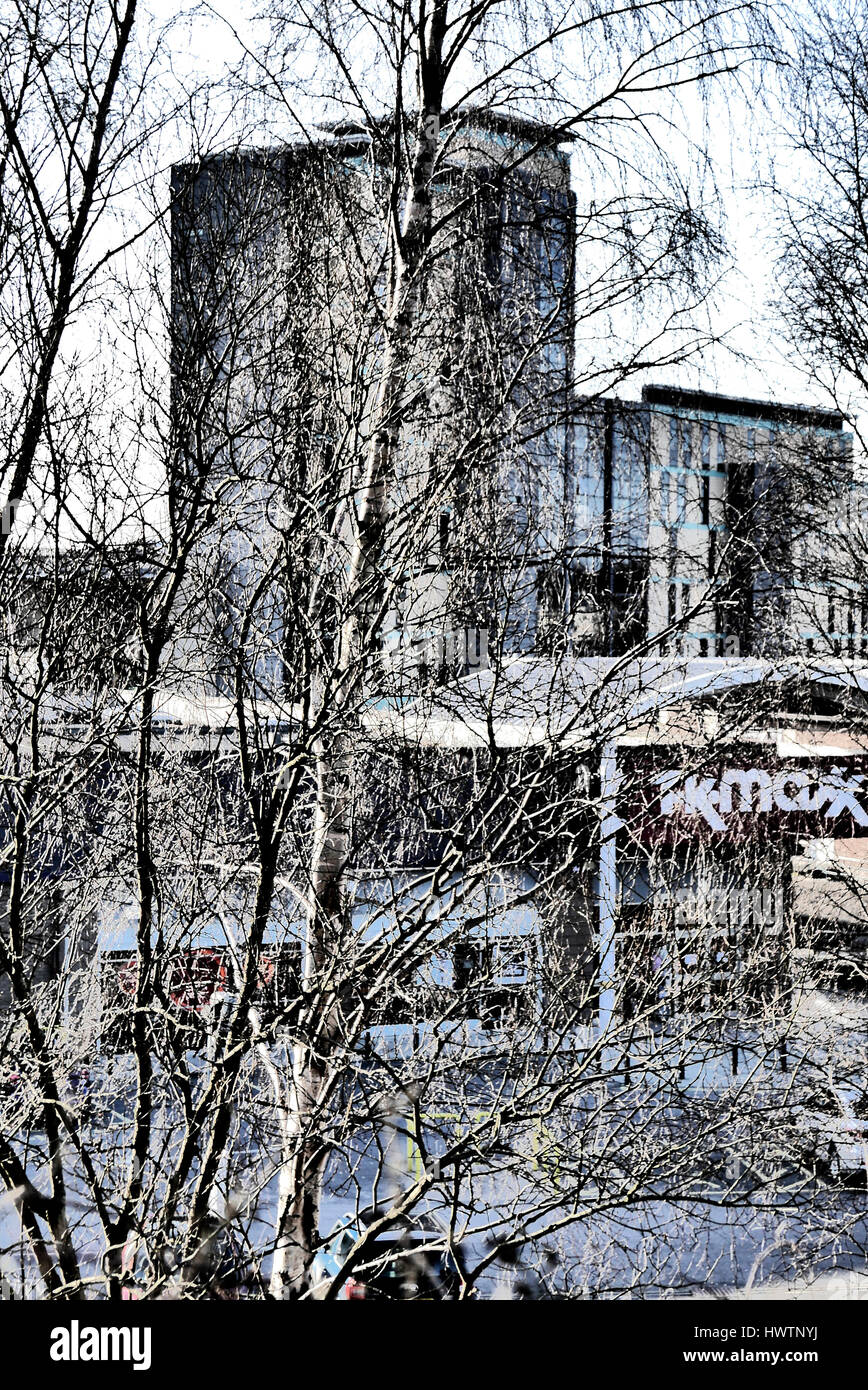 Town centre buildings seen through silver birch trees in winter,Burnley ...