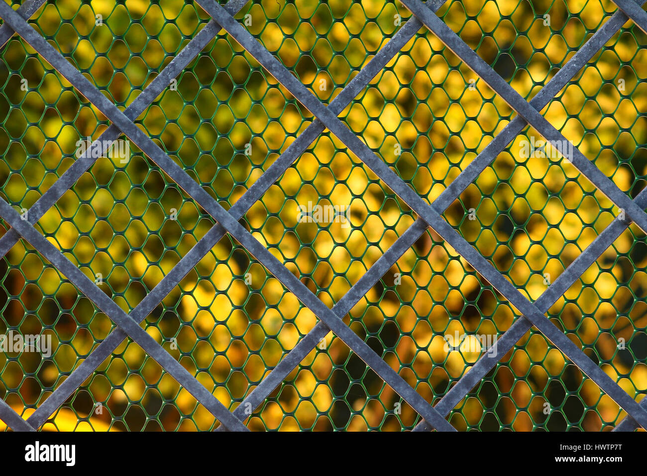 Metal square fence hi-res stock photography and images - Alamy