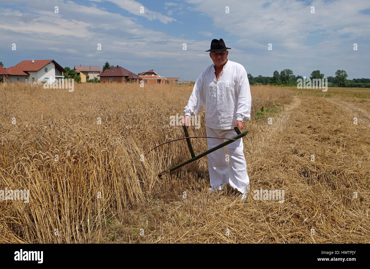 Wheat Scythe Harvest Stock Photos & Wheat Scythe Harvest Stock Images ...