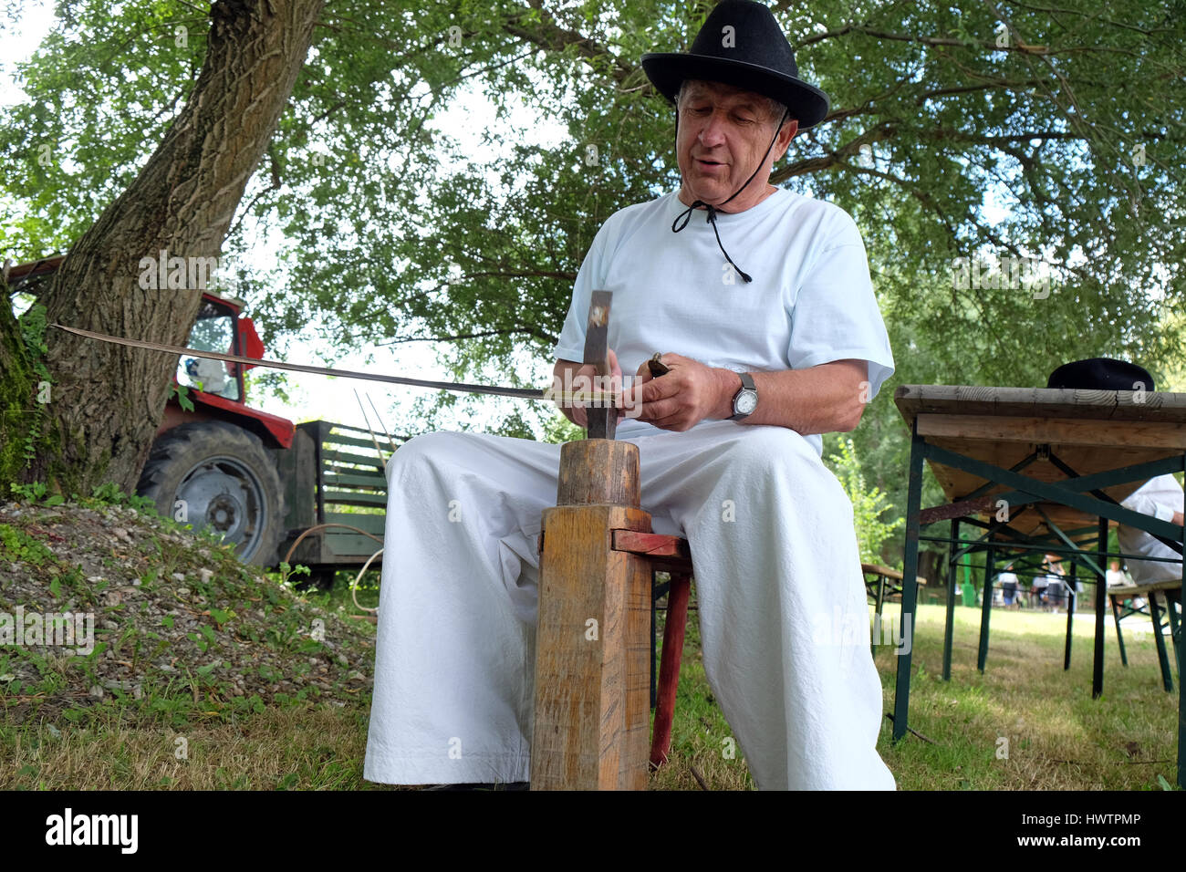 Farmer with hammer and iron tool on the tree stump is sharpening his ...