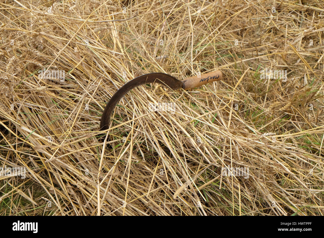 Sickle and wheat Stock Photo - Alamy