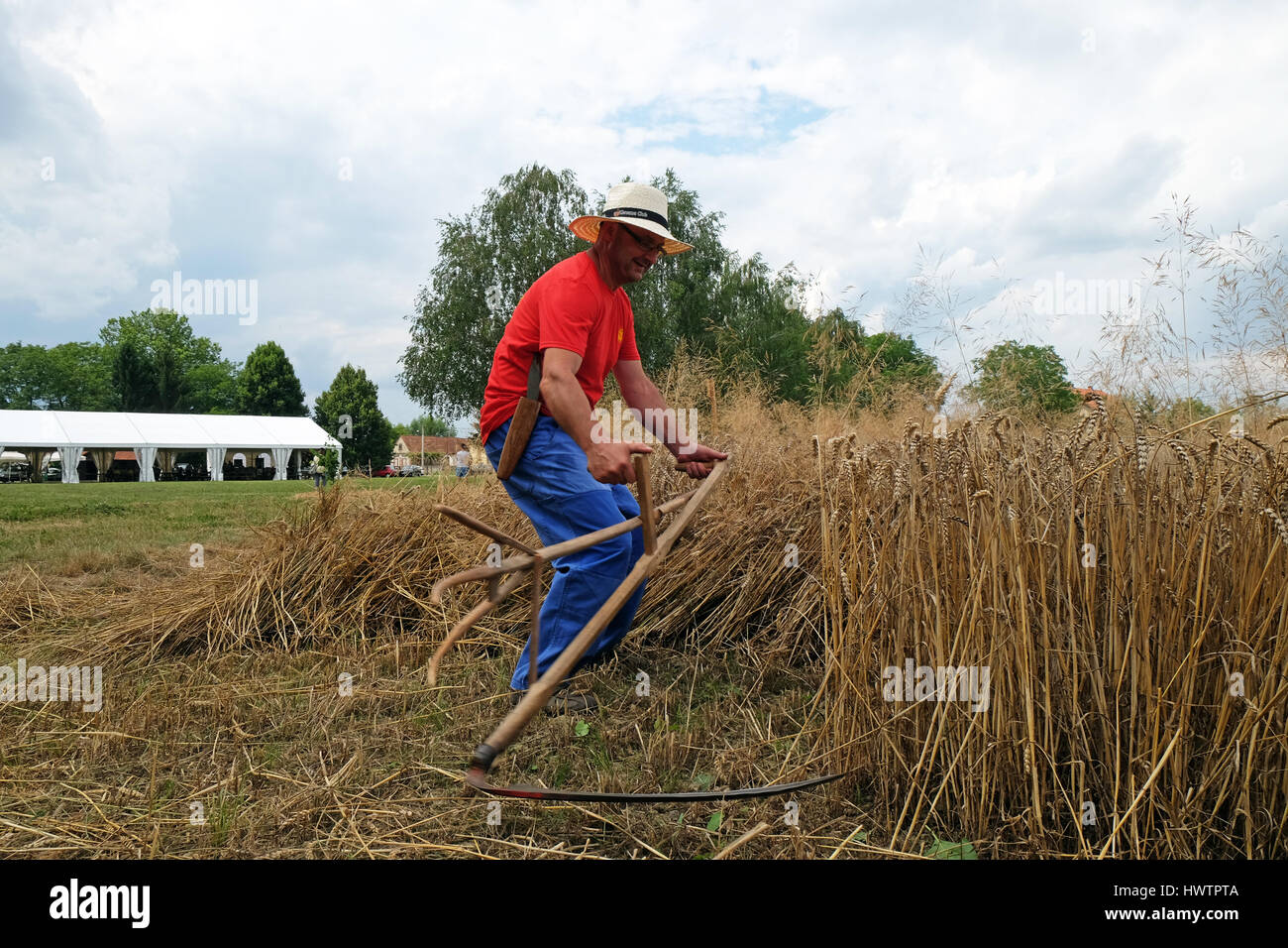 Wheat Scythe Harvest Stock Photos & Wheat Scythe Harvest Stock Images ...