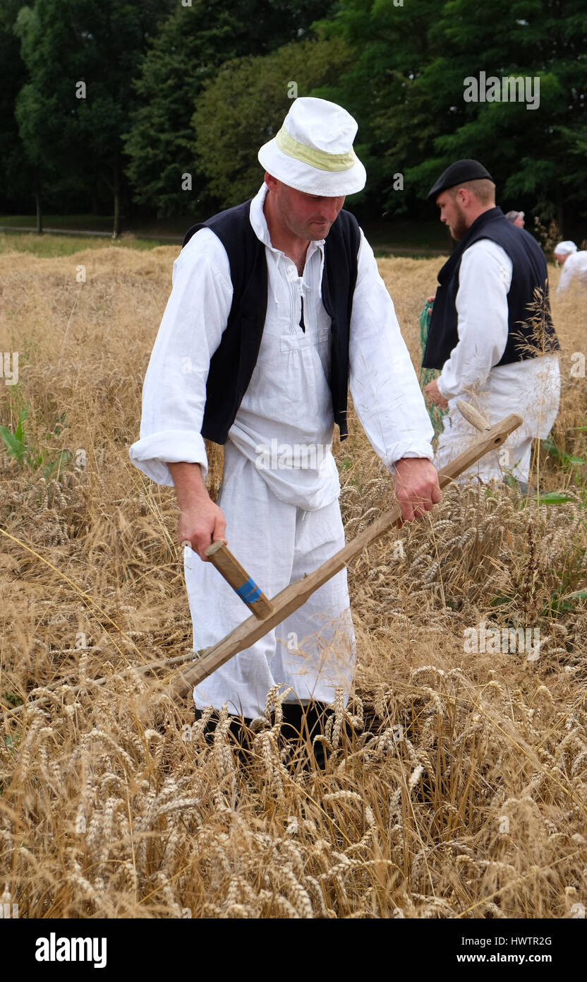 Wheat Scythe Harvest Stock Photos & Wheat Scythe Harvest Stock Images ...