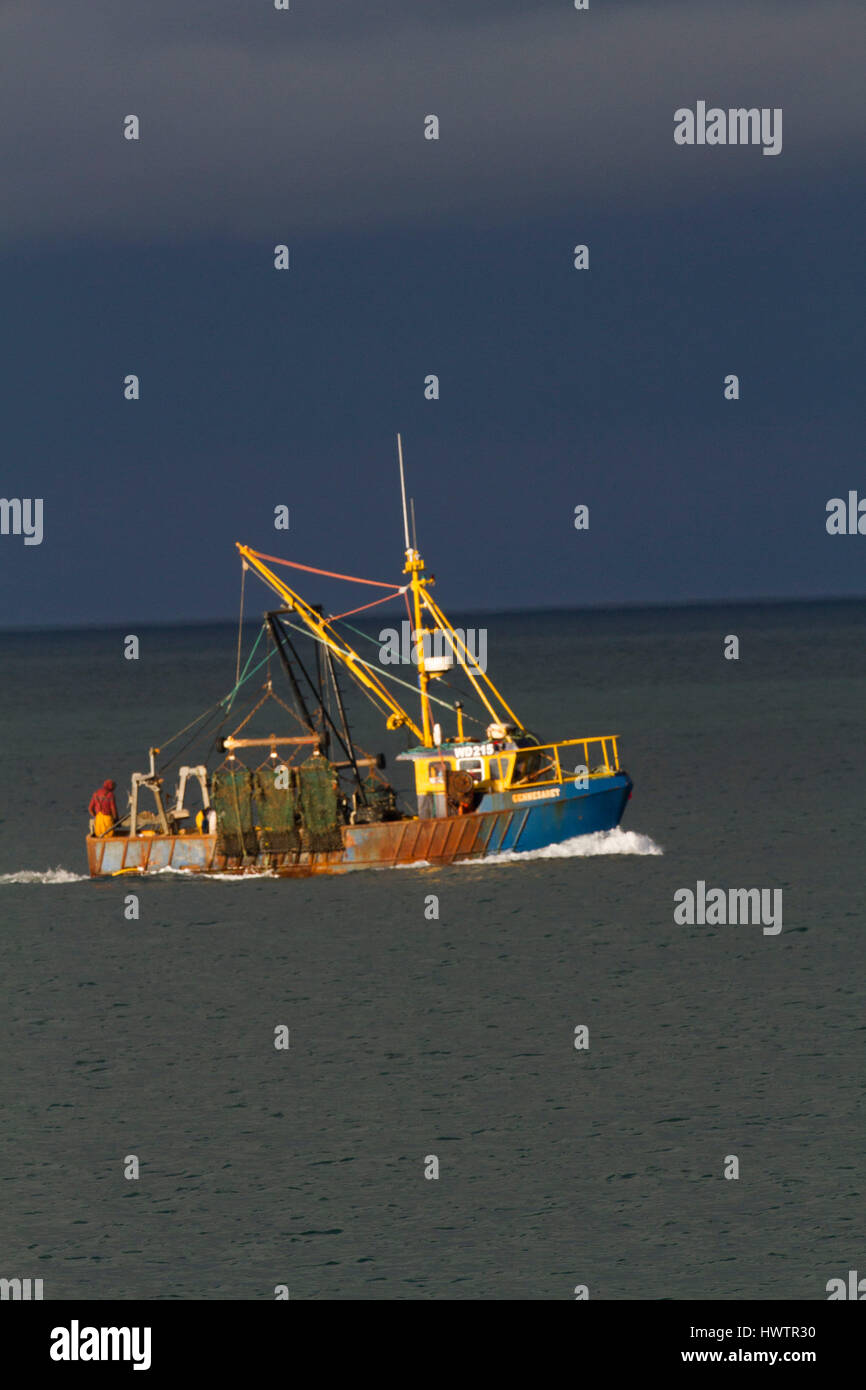 Inshore trawler in shallow coastal sea fishing for arine life which may ...