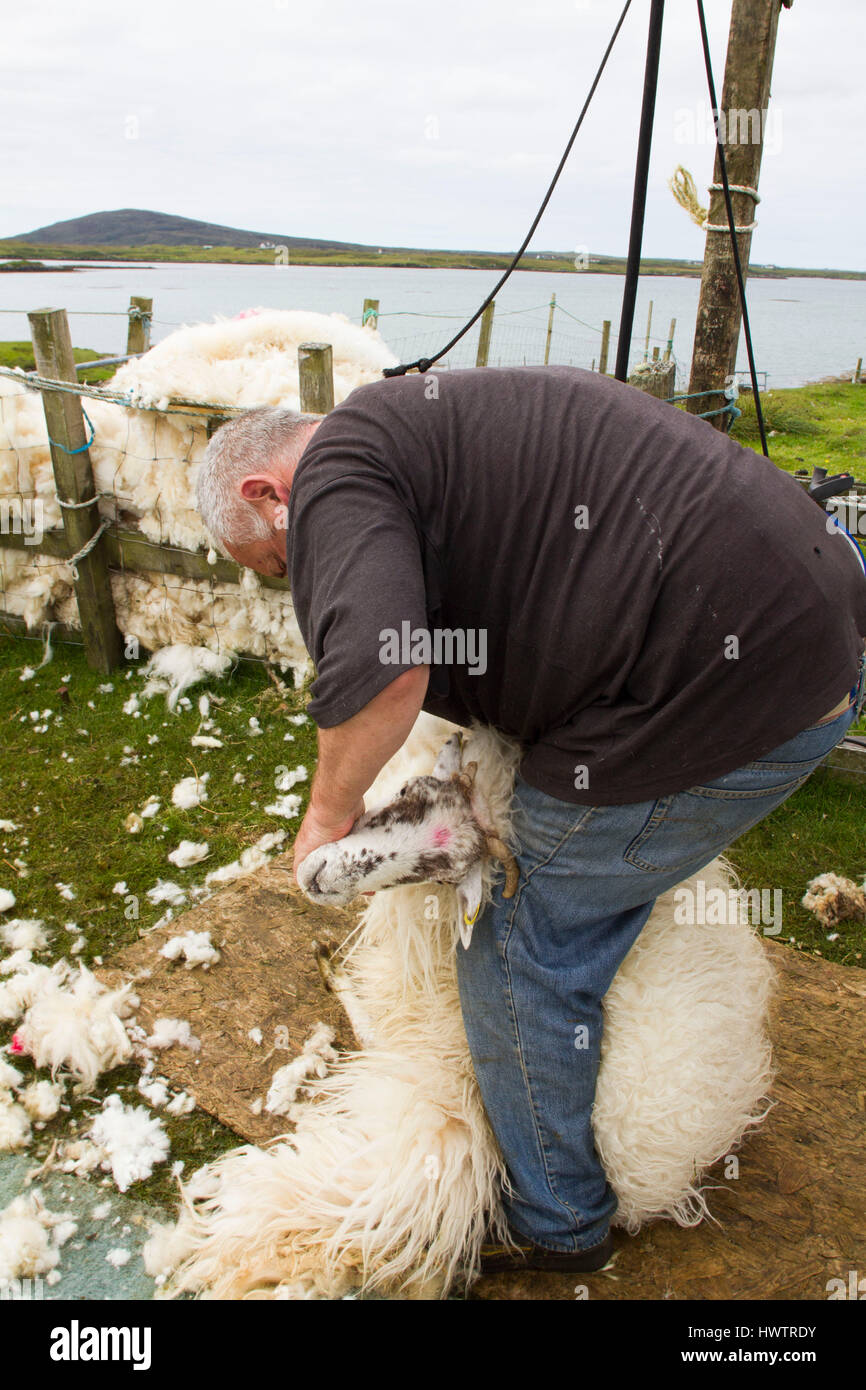 Harris twed raw material hi-res stock photography and images - Alamy