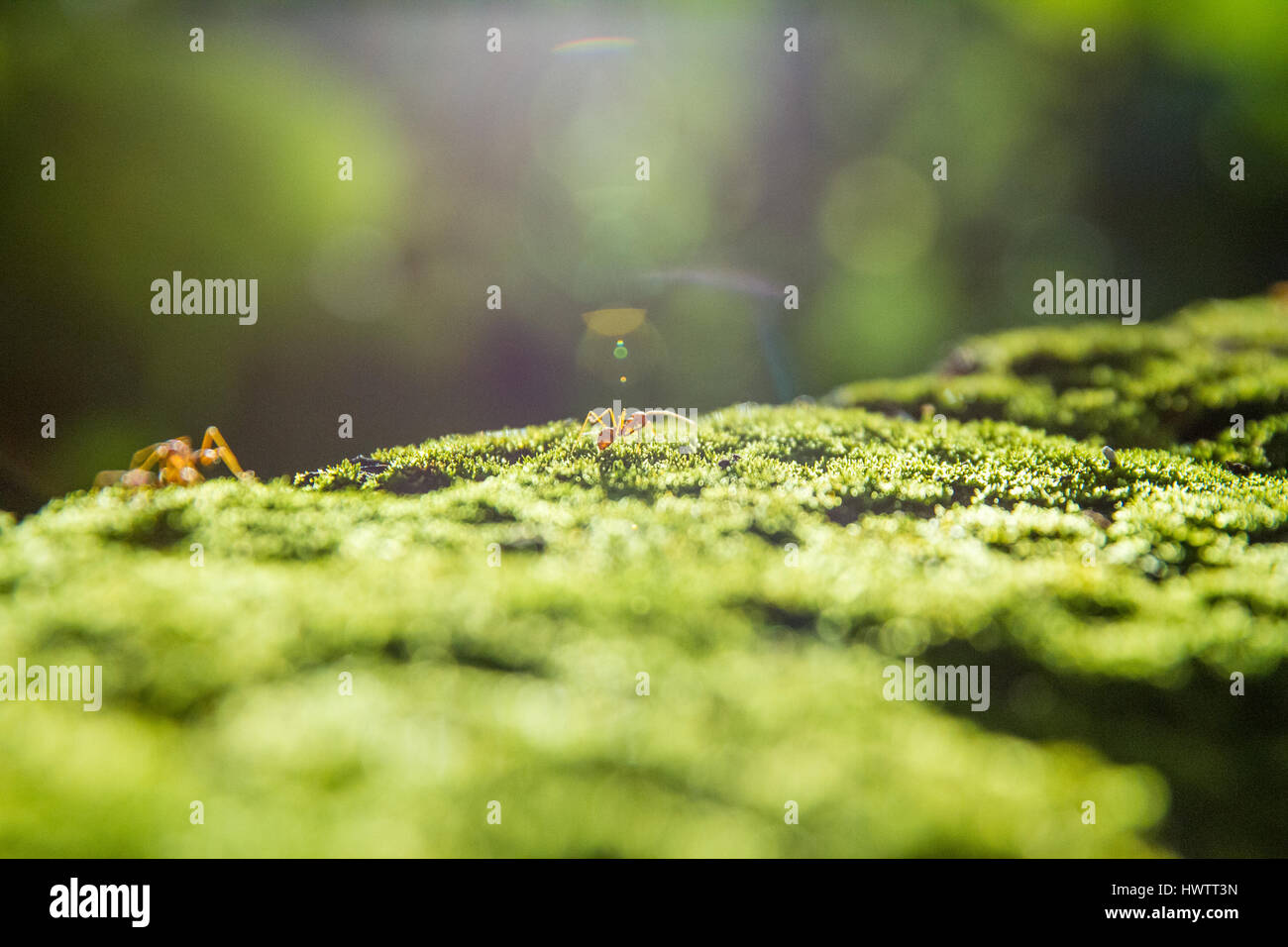 Journey and sunshine hi-res stock photography and images - Alamy