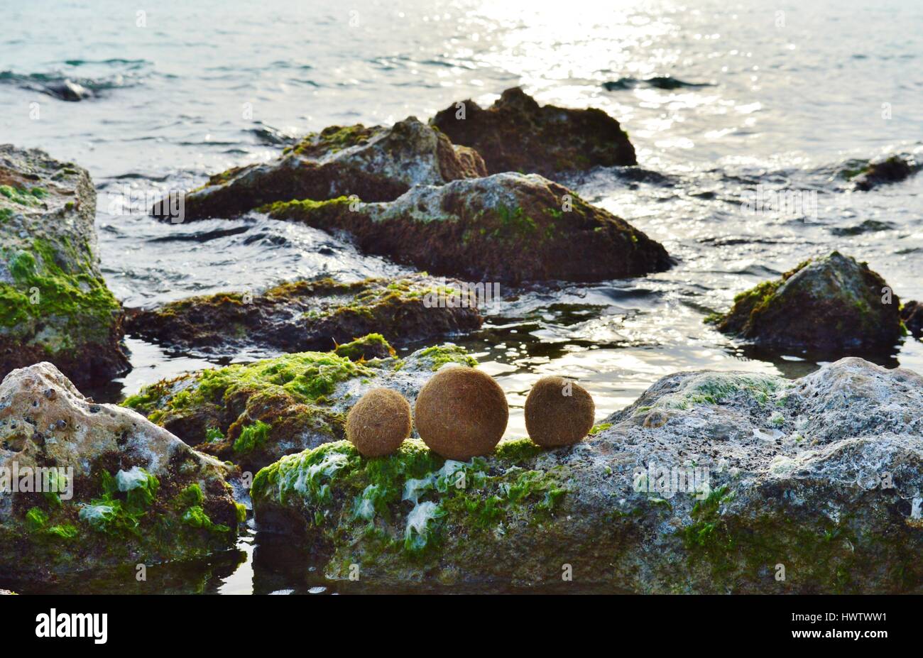 the magic spring Stock Photo - Alamy