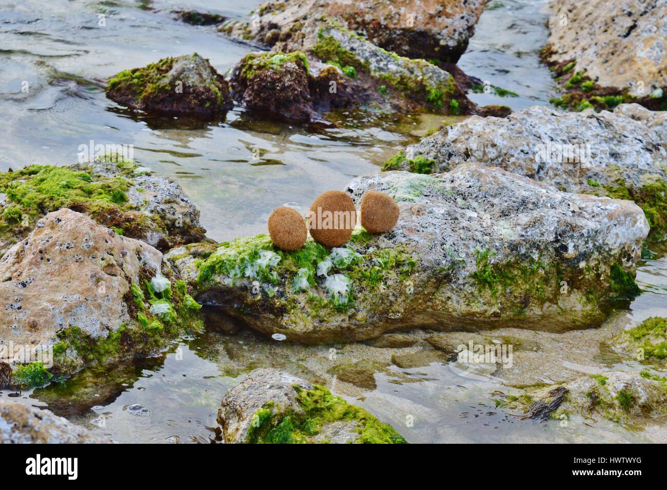 the magic spring Stock Photo - Alamy