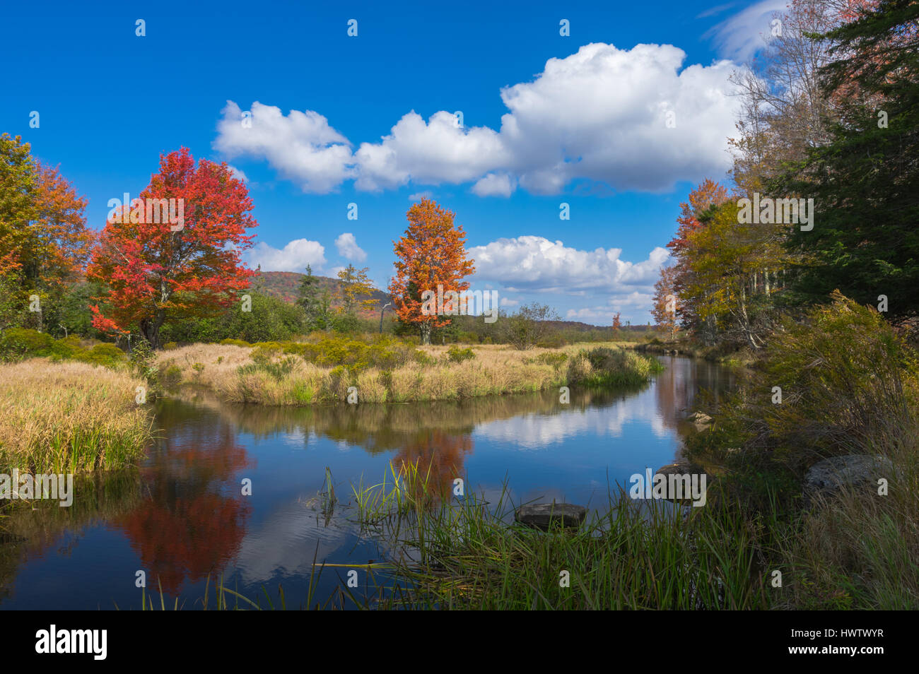 Glassy river hi-res stock photography and images - Alamy