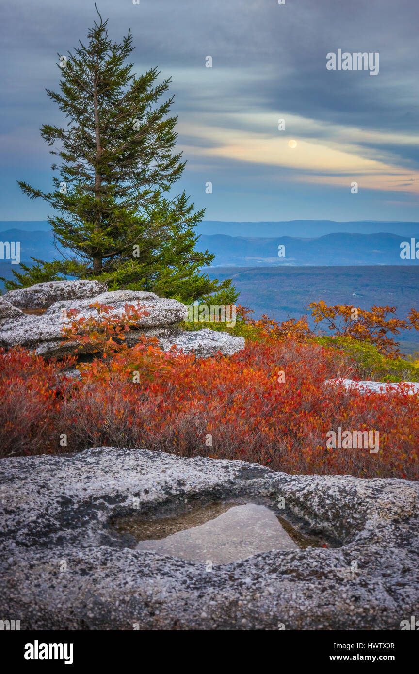 Huckleberry rock hi-res stock photography and images - Alamy